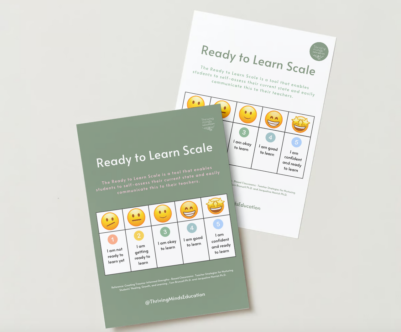 Ready to Learn Scale: Digital Download – Thriving Minds Education